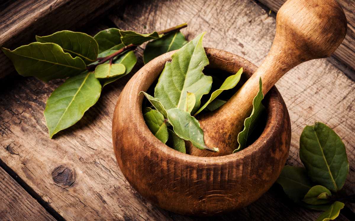 Bay Leaf Spells: Transform Your Life with Magic! - Woman Spell Caster